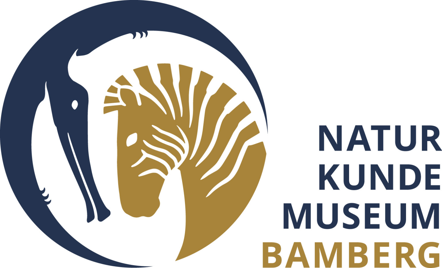 Naturkundemuseum Bamberg » Unser Logo