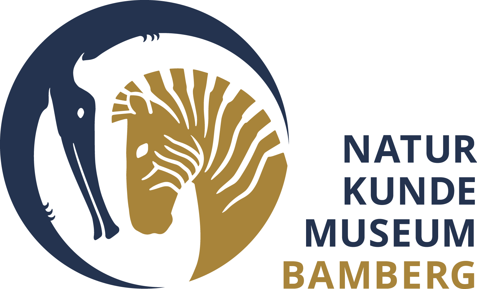 Naturkundemuseum Bamberg » Unser Logo